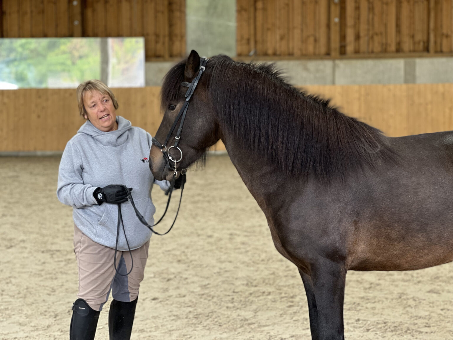 Islandpferdezentrum Wiesenhof