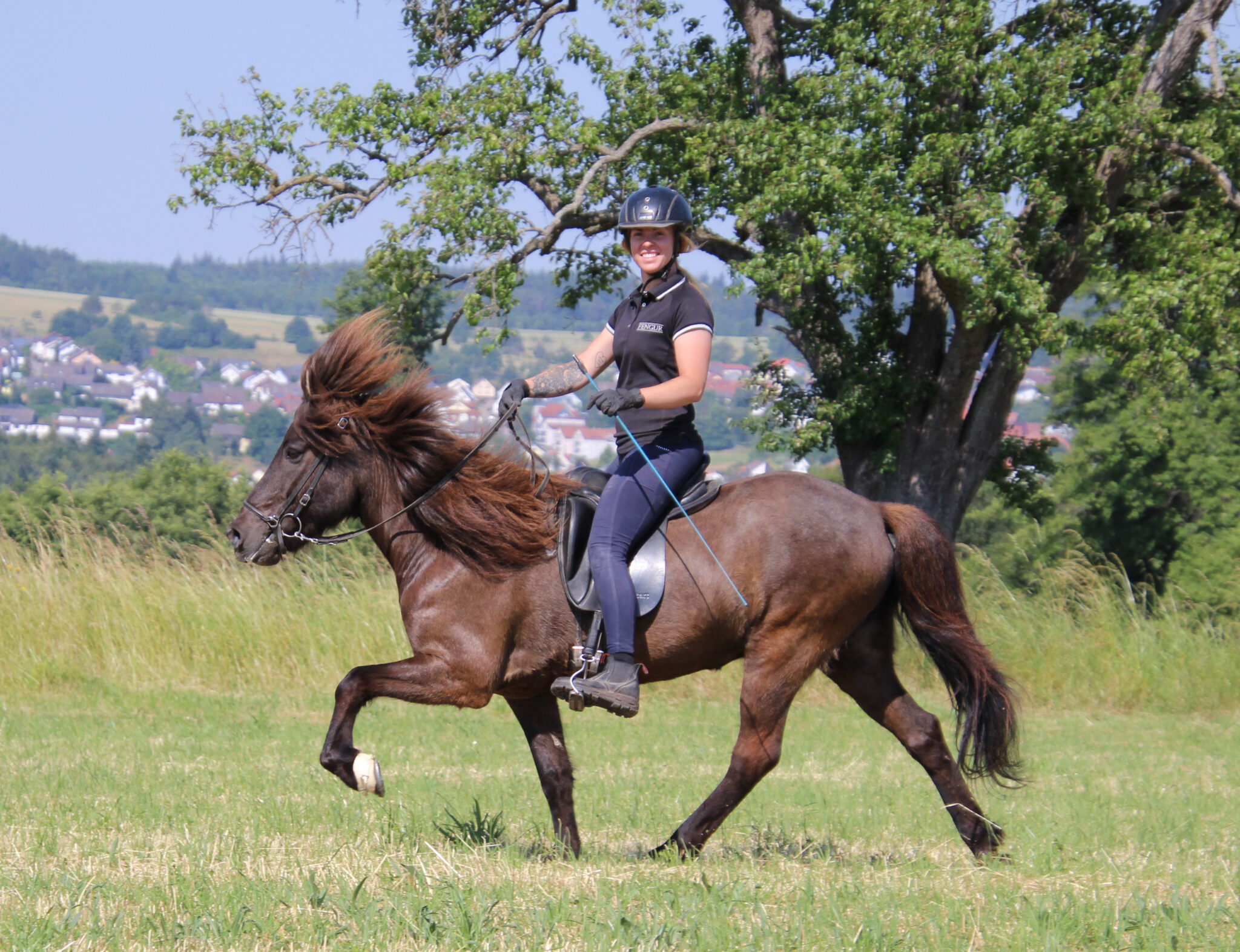 Islandpferdezentrum Wiesenhof
